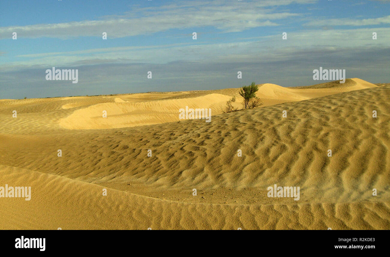 Mini oasis hi-res stock photography and images - Alamy