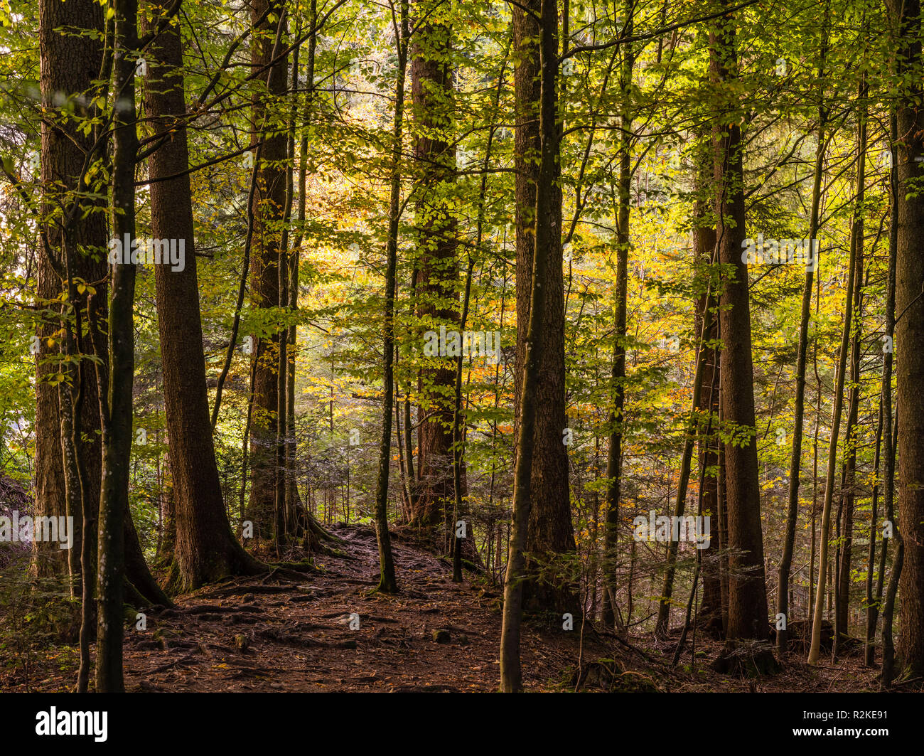 Etzel pass hi-res stock photography and images - Alamy