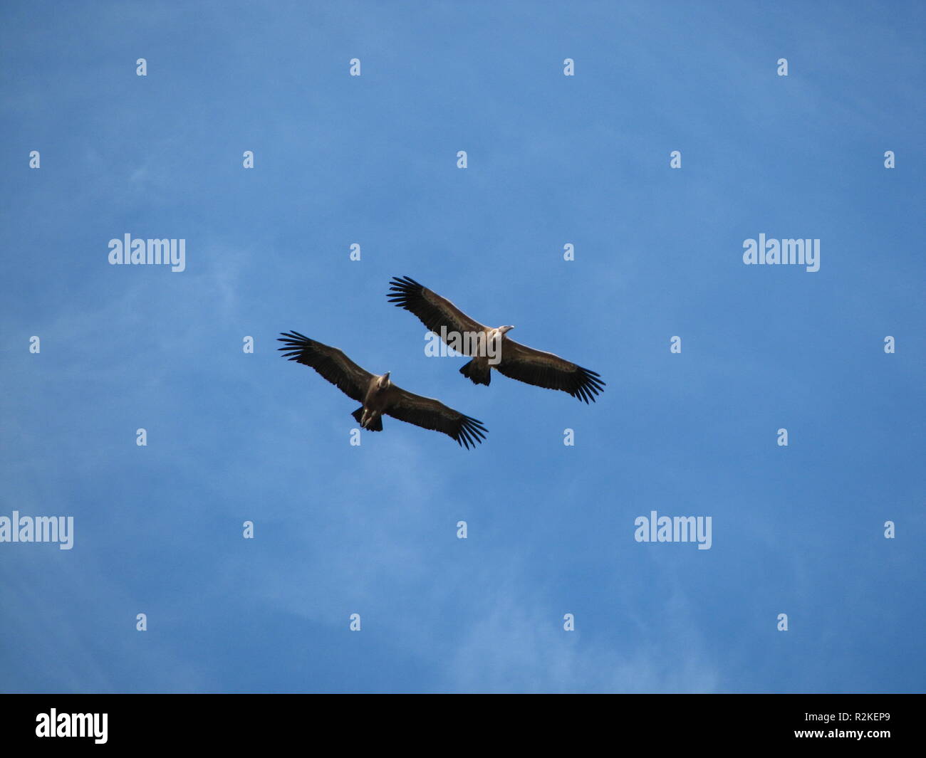 Flying abreast hi-res stock photography and images - Alamy