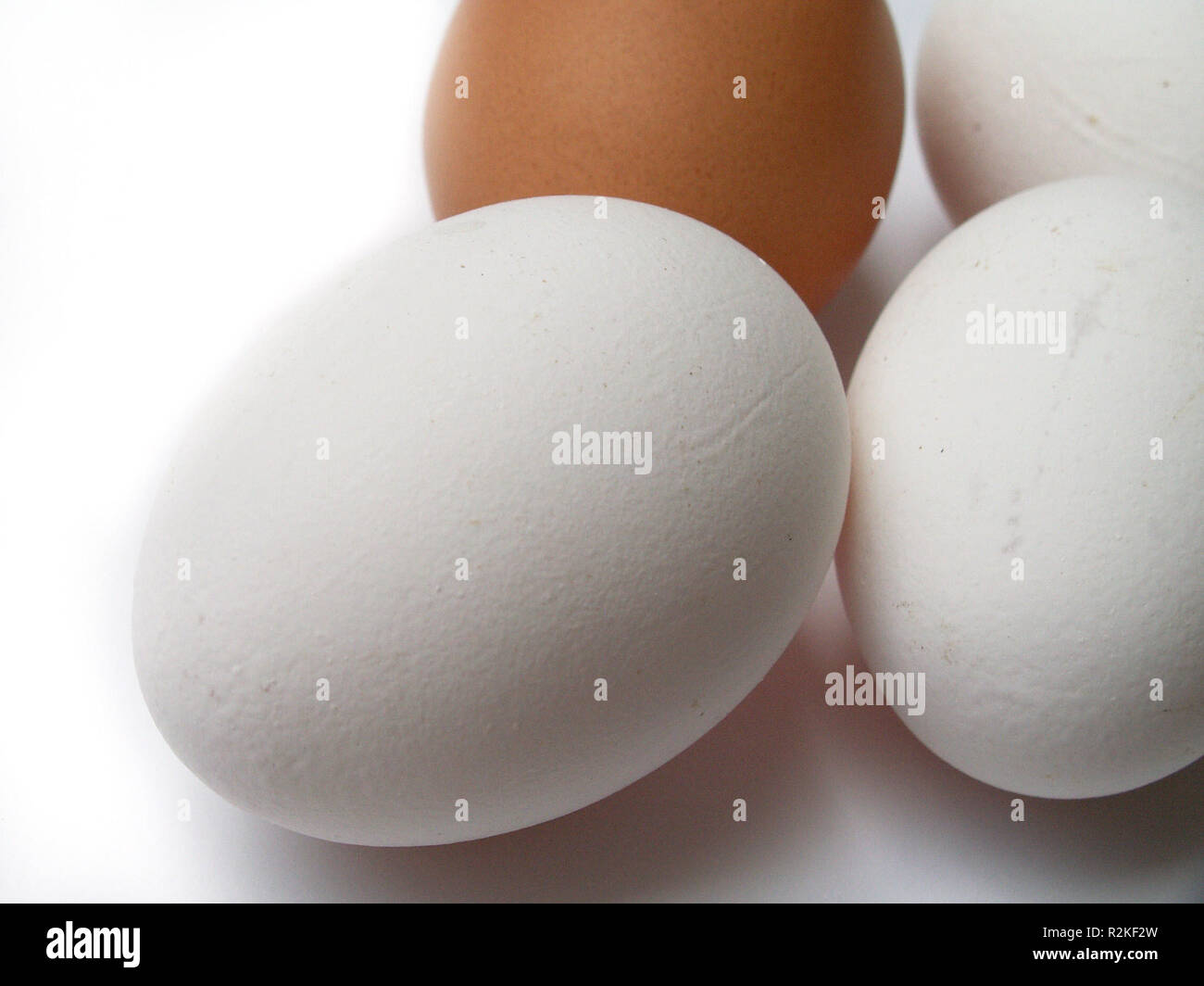 Egg shell structure hi-res stock photography and images - Alamy
