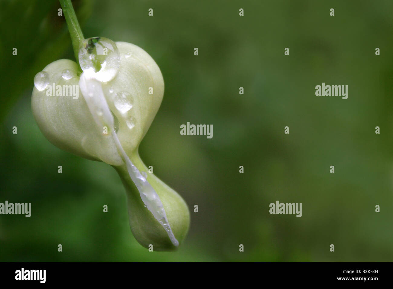 crying heart Stock Photo - Alamy