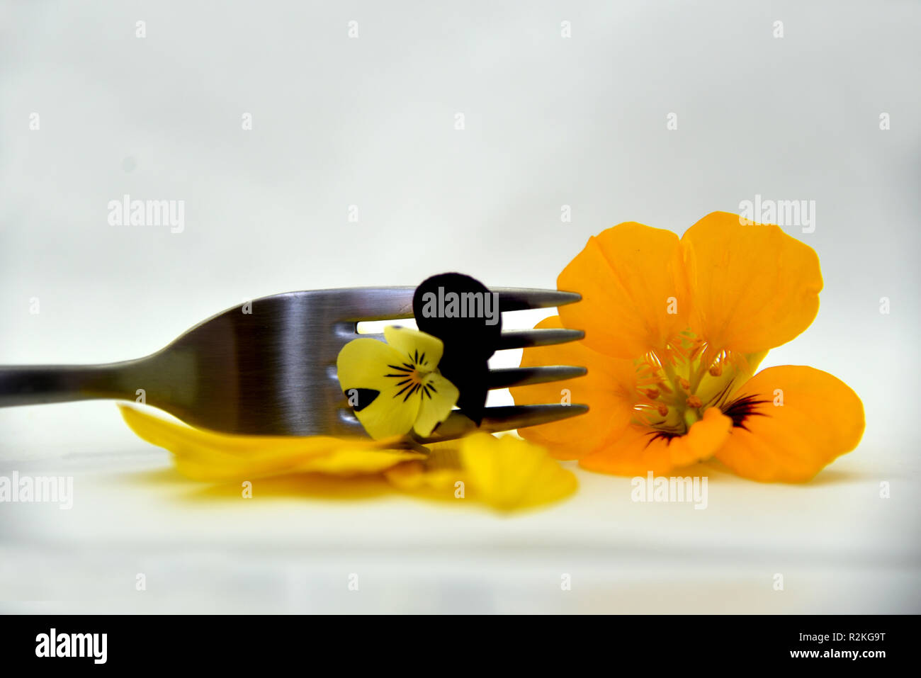 edible flowers and petals on white background and fork Stock Photo - Alamy