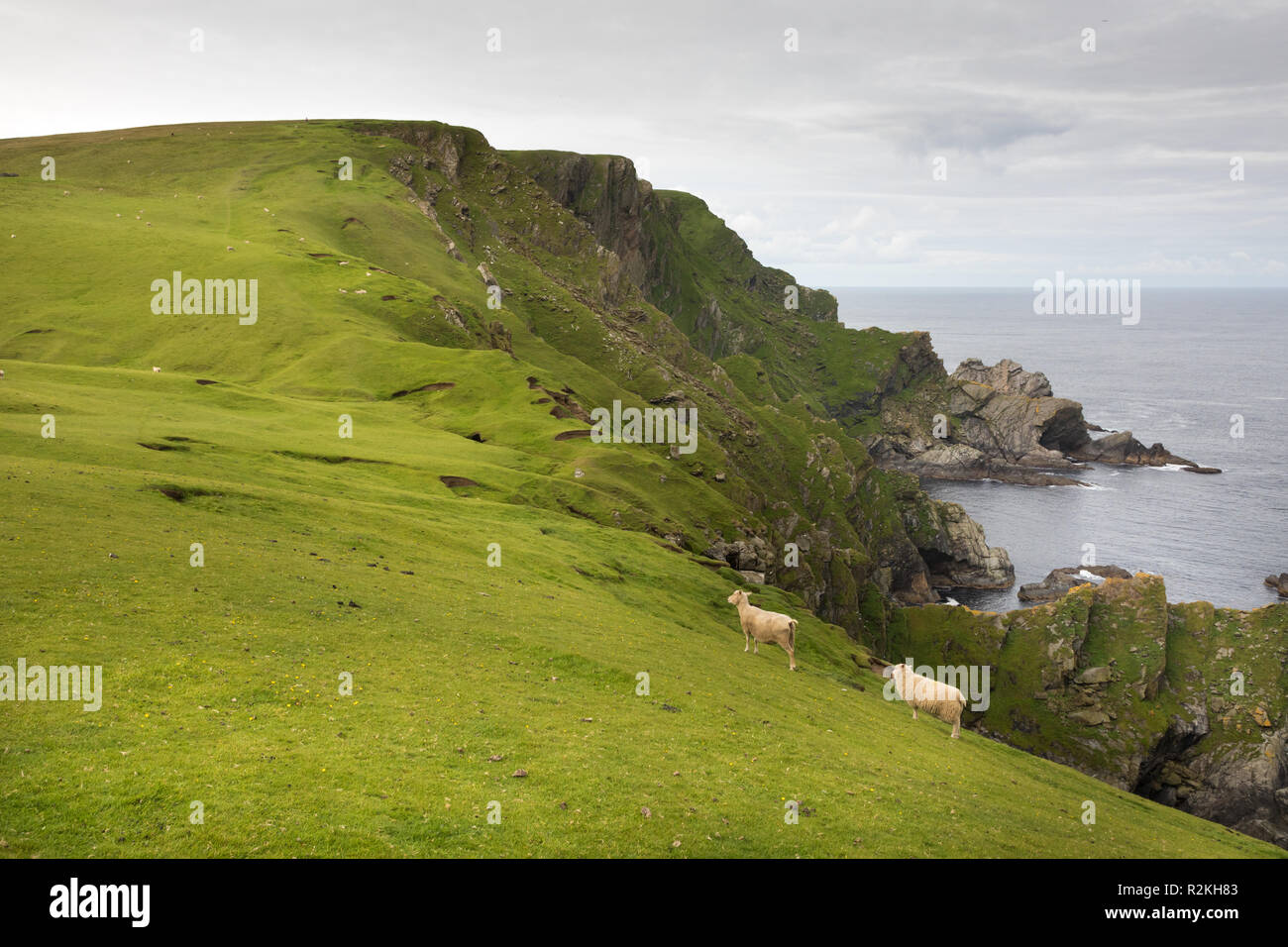 Landscape in Hermaness, Unst, Shetland Islands, UK Stock Photo - Alamy