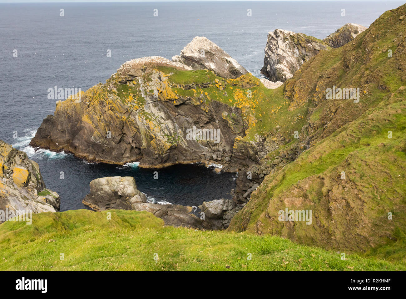 Landscape in Hermaness, Unst, Shetland Islands, UK Stock Photo - Alamy