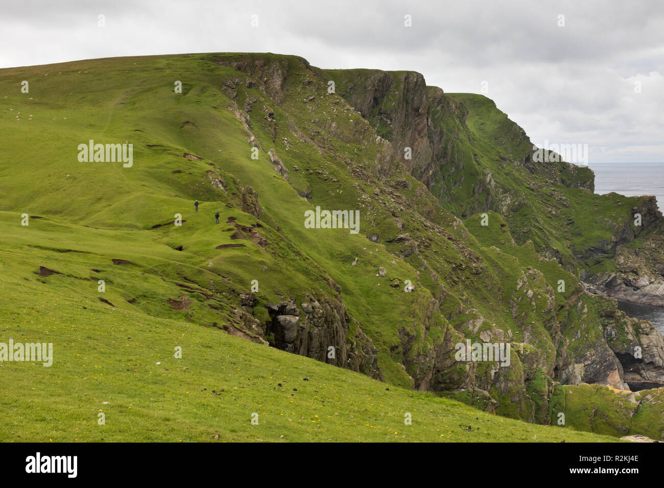Landscape in Hermaness, Unst, Shetland Islands, UK Stock Photo - Alamy