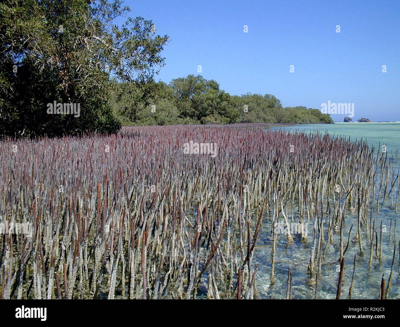 Estuare hi-res stock photography and images - Alamy