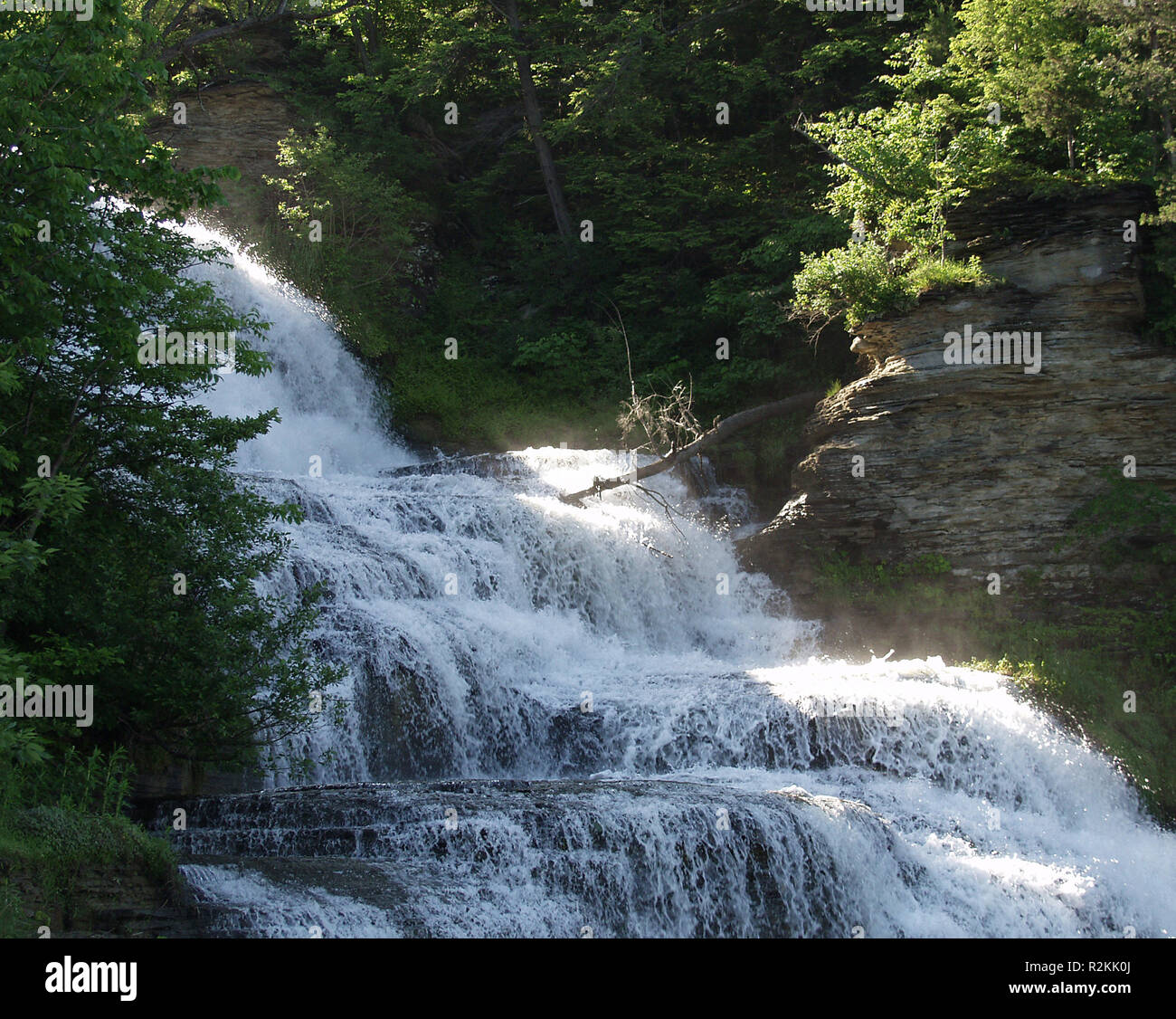 Hector falls hi-res stock photography and images - Alamy