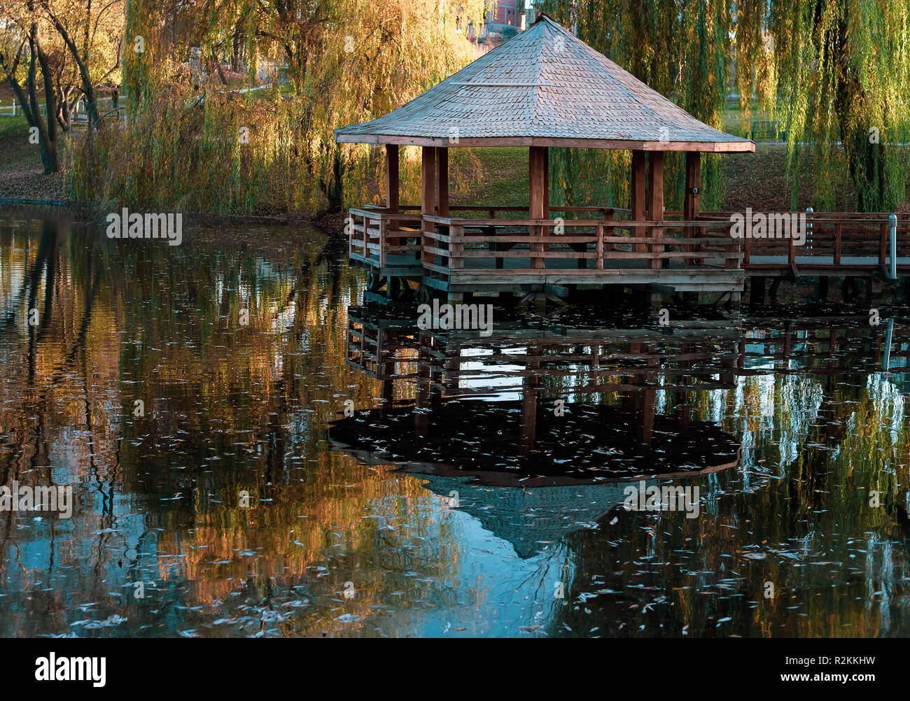 Peer into a pond hi-res stock photography and images - Alamy