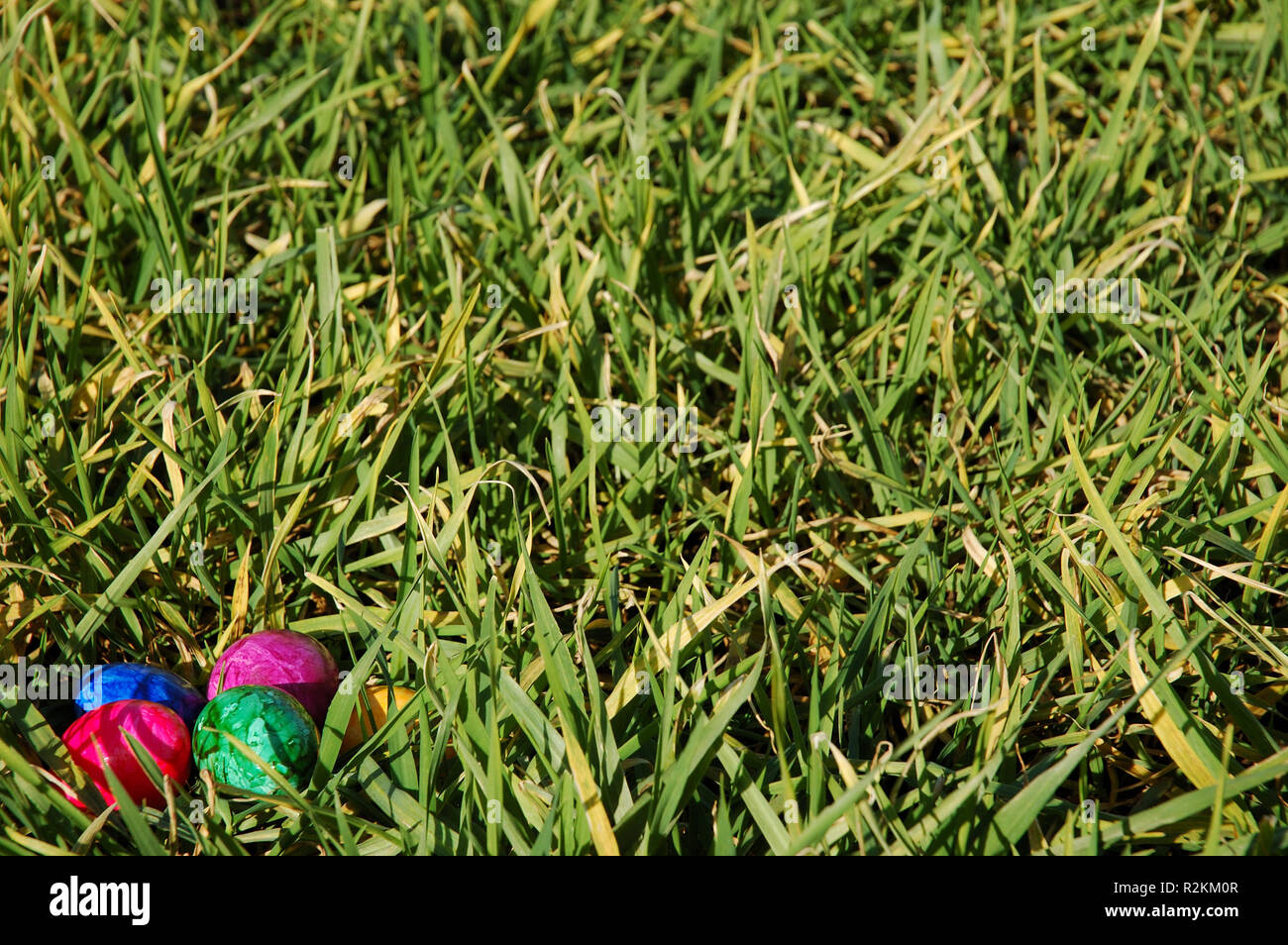 easter eggs in grass Stock Photo - Alamy