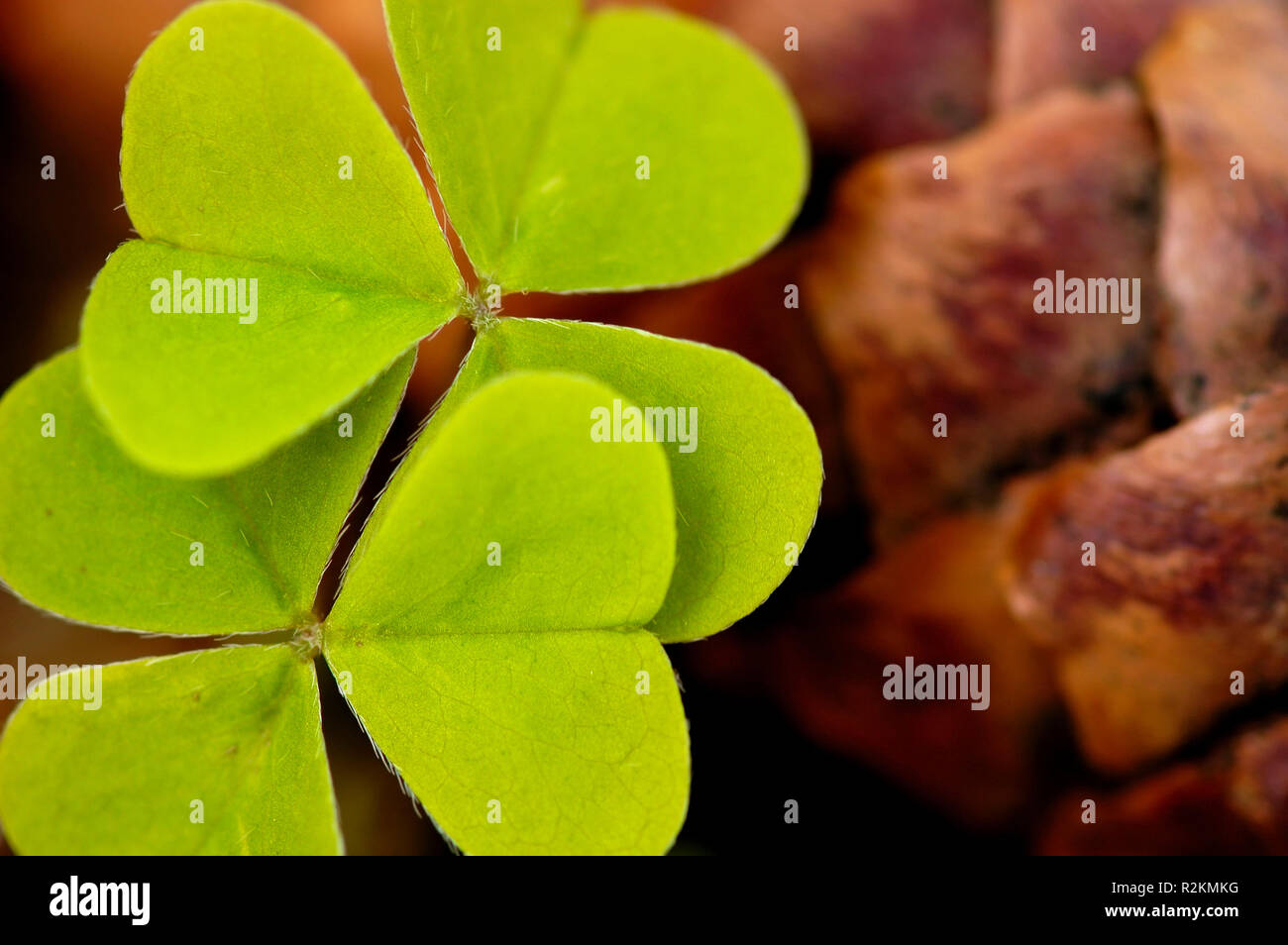 good luck charm in a double Stock Photo - Alamy