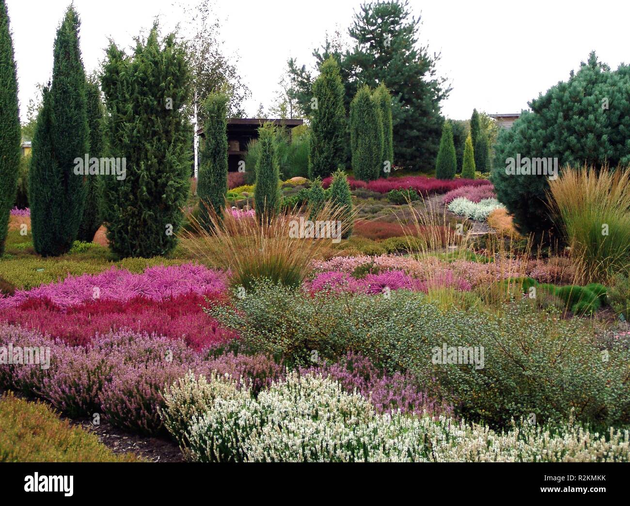 Sommerheide hi-res stock photography and images - Alamy