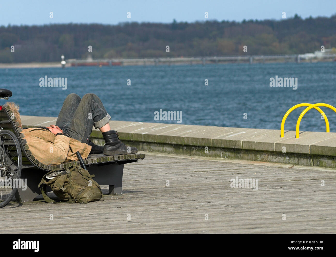 Sleeping mole hi-res stock photography and images - Alamy