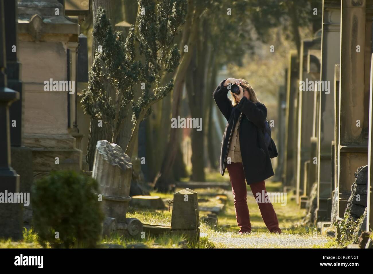 Living cemetery hi-res stock photography and images - Alamy