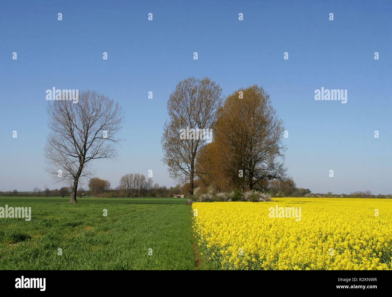 two divided Stock Photo - Alamy