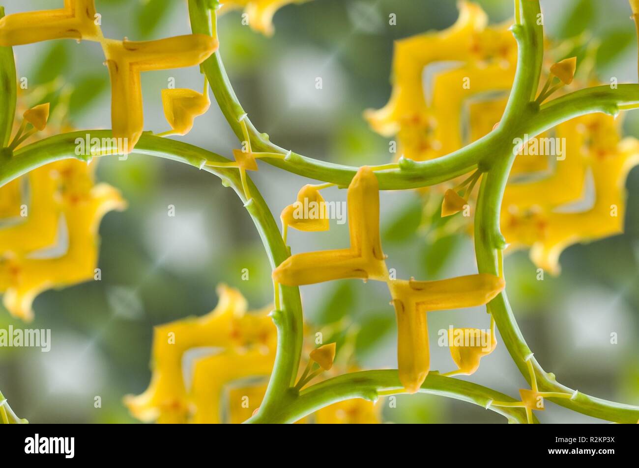 Digital symmetry hi-res stock photography and images - Alamy