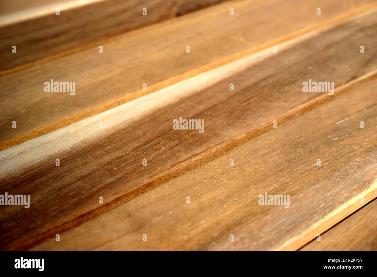 Teak wood trees hi-res stock photography and images - Alamy