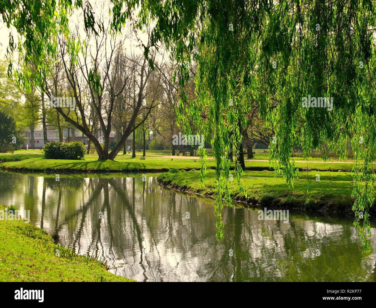 spring in the park Stock Photo - Alamy
