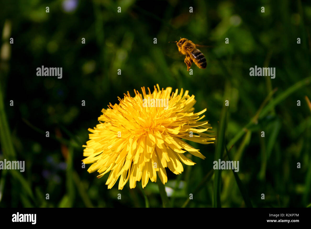 the approach has been approved Stock Photo - Alamy