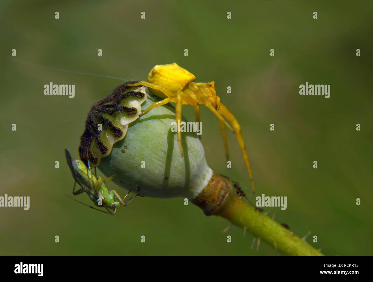 Unseen place hi-res stock photography and images - Alamy