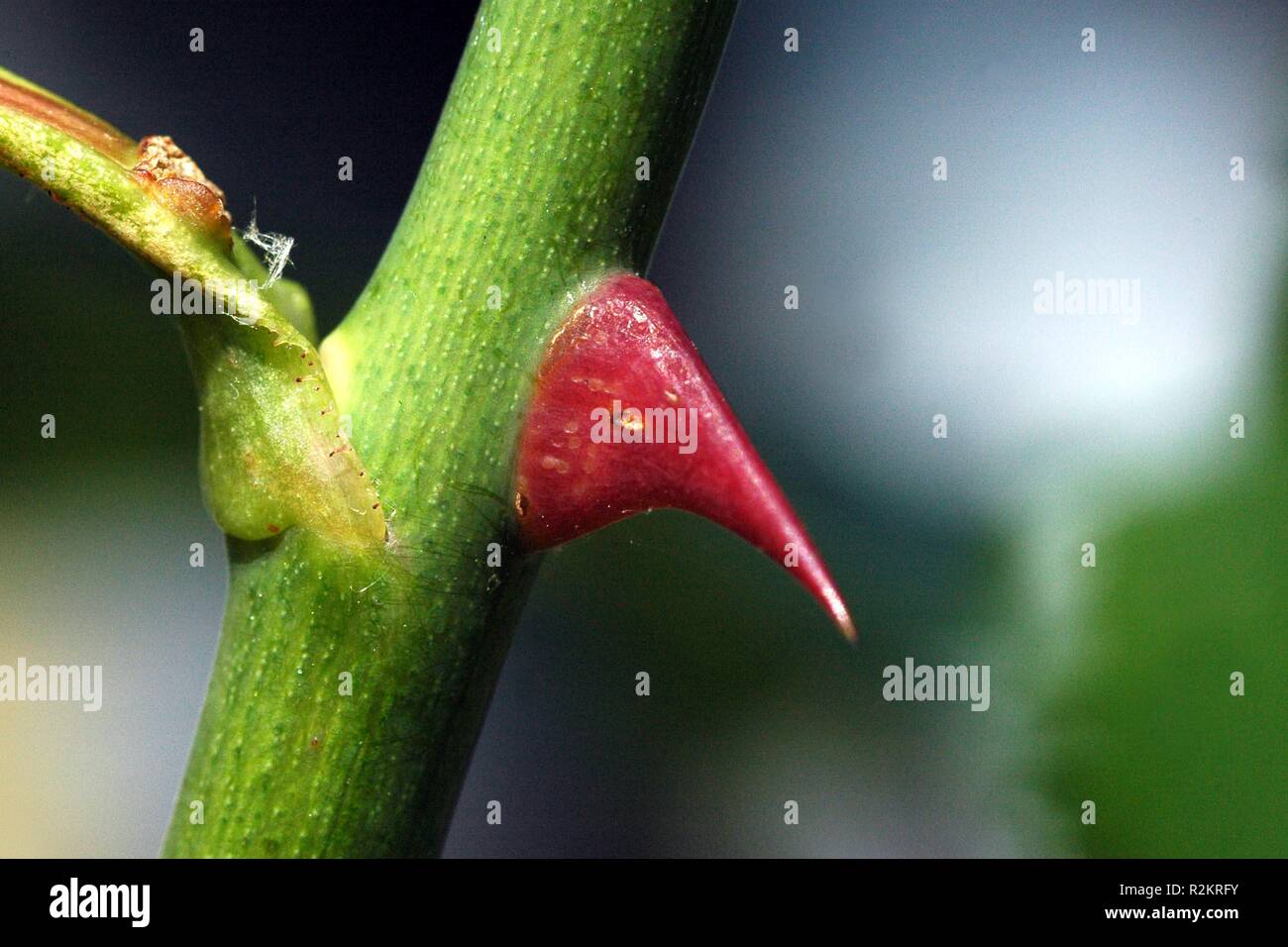 Mandrel hi-res stock photography and images - Alamy