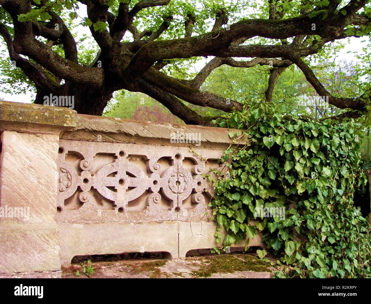 wall with tree Stock Photo - Alamy