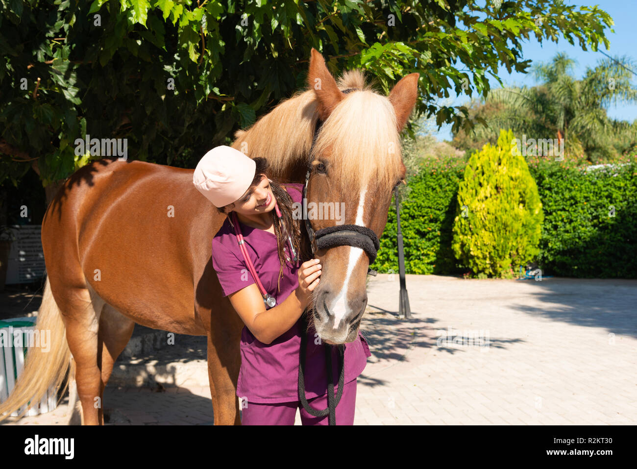 Medical exam outdoor hi-res stock photography and images - Alamy