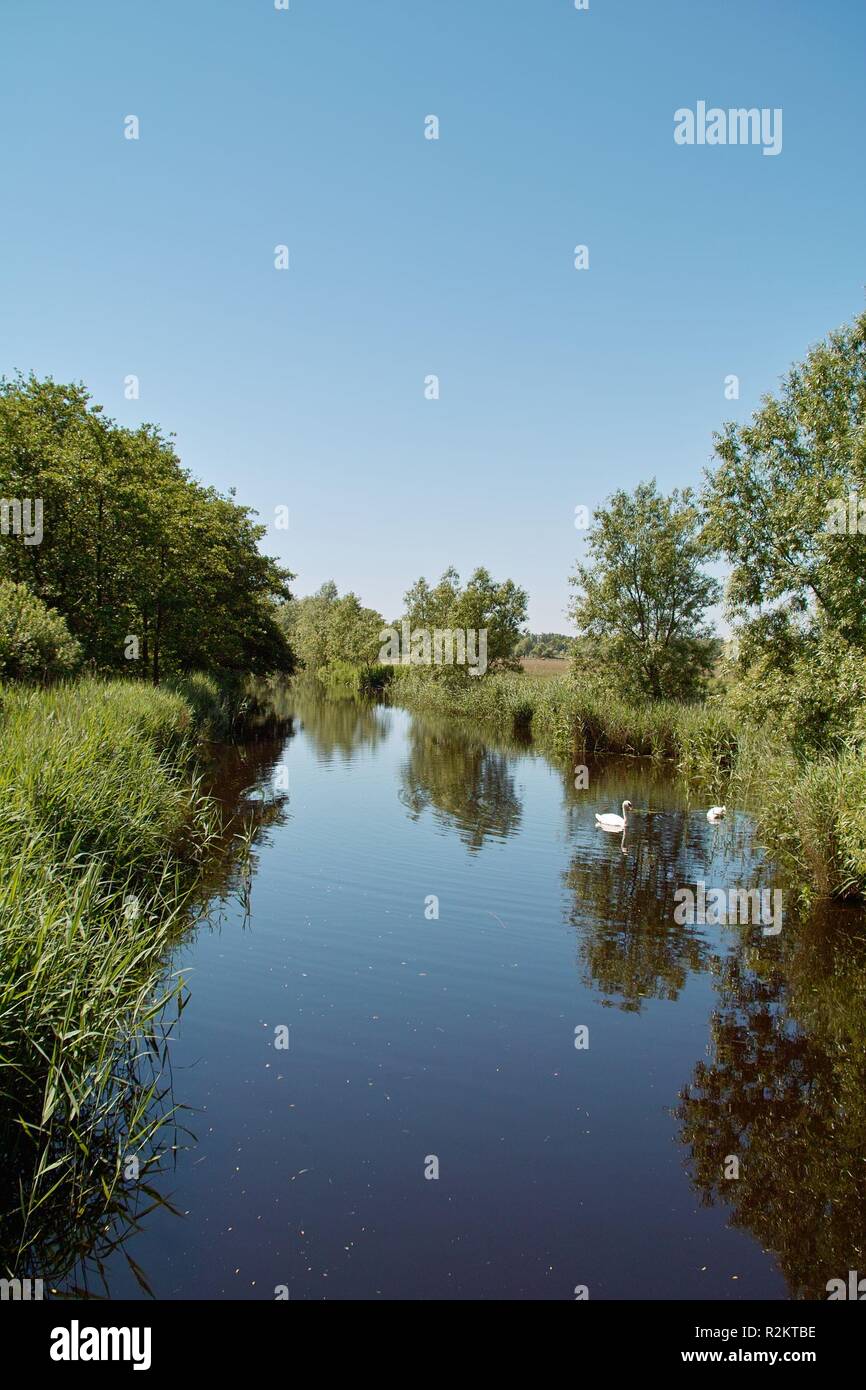 Pssst hi-res stock photography and images - Alamy
