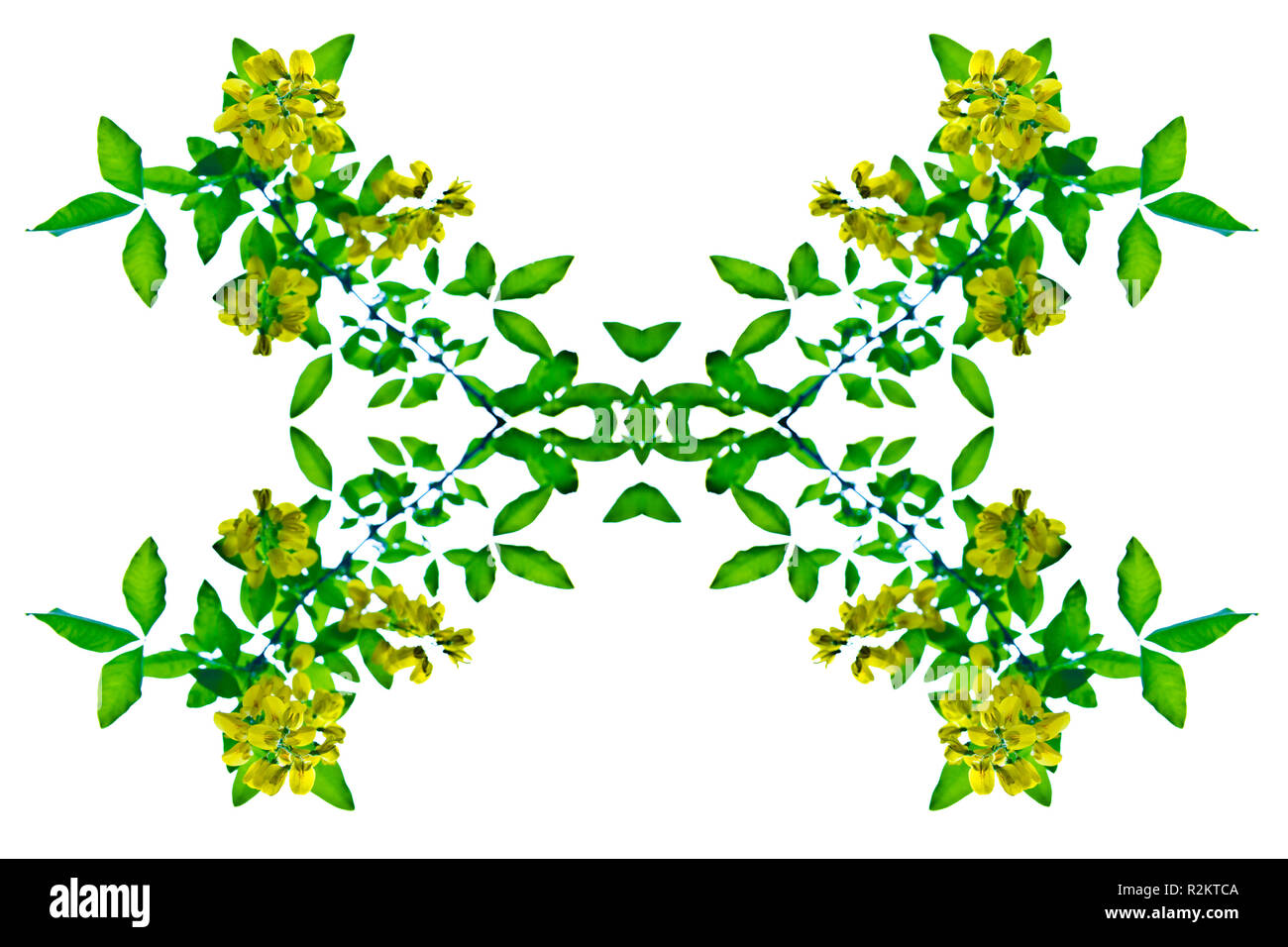 Plant twig hi-res stock photography and images - Alamy