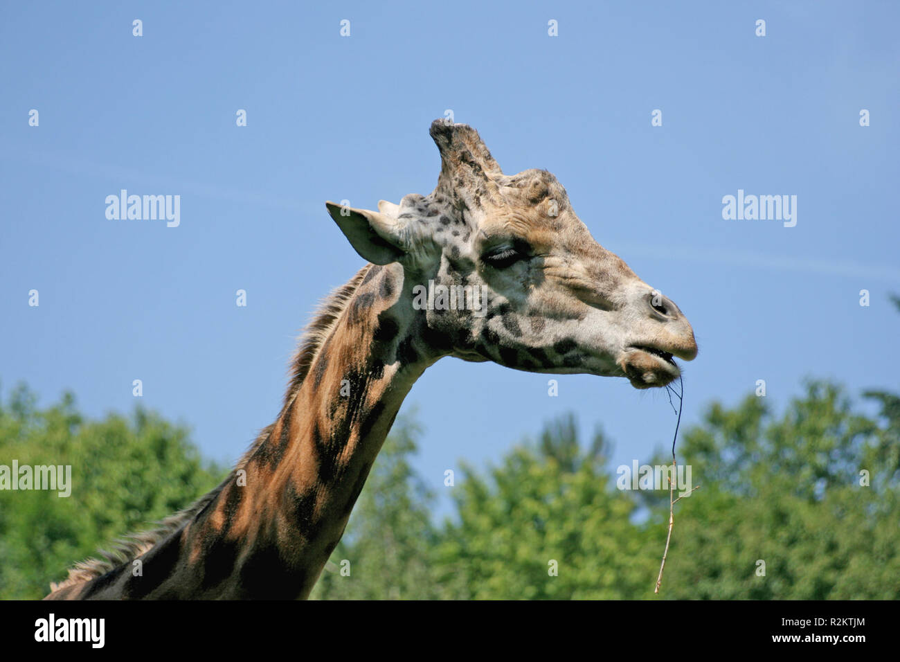 the best view Stock Photo - Alamy