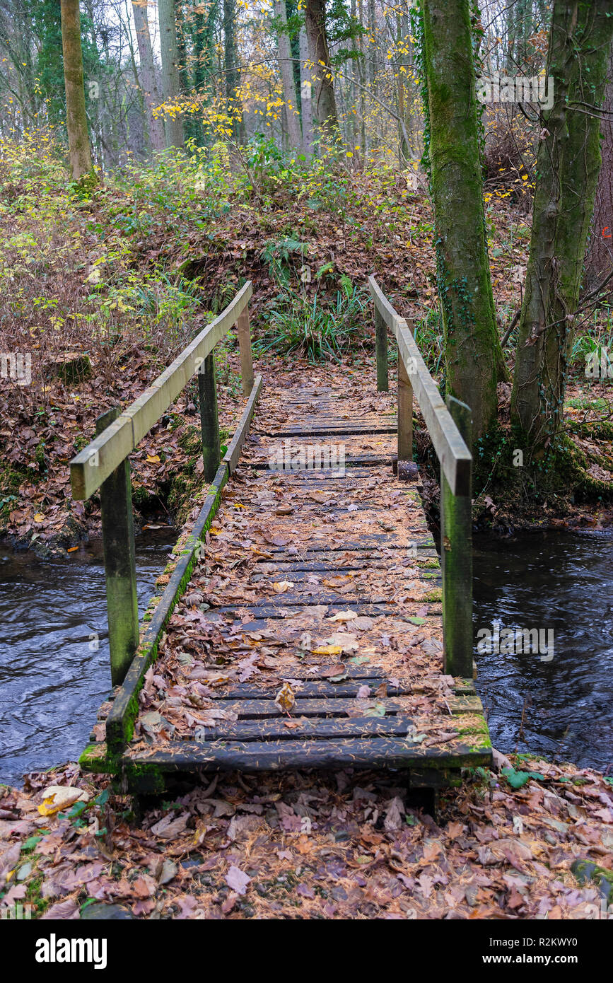 Woodland waterway hi-res stock photography and images - Alamy