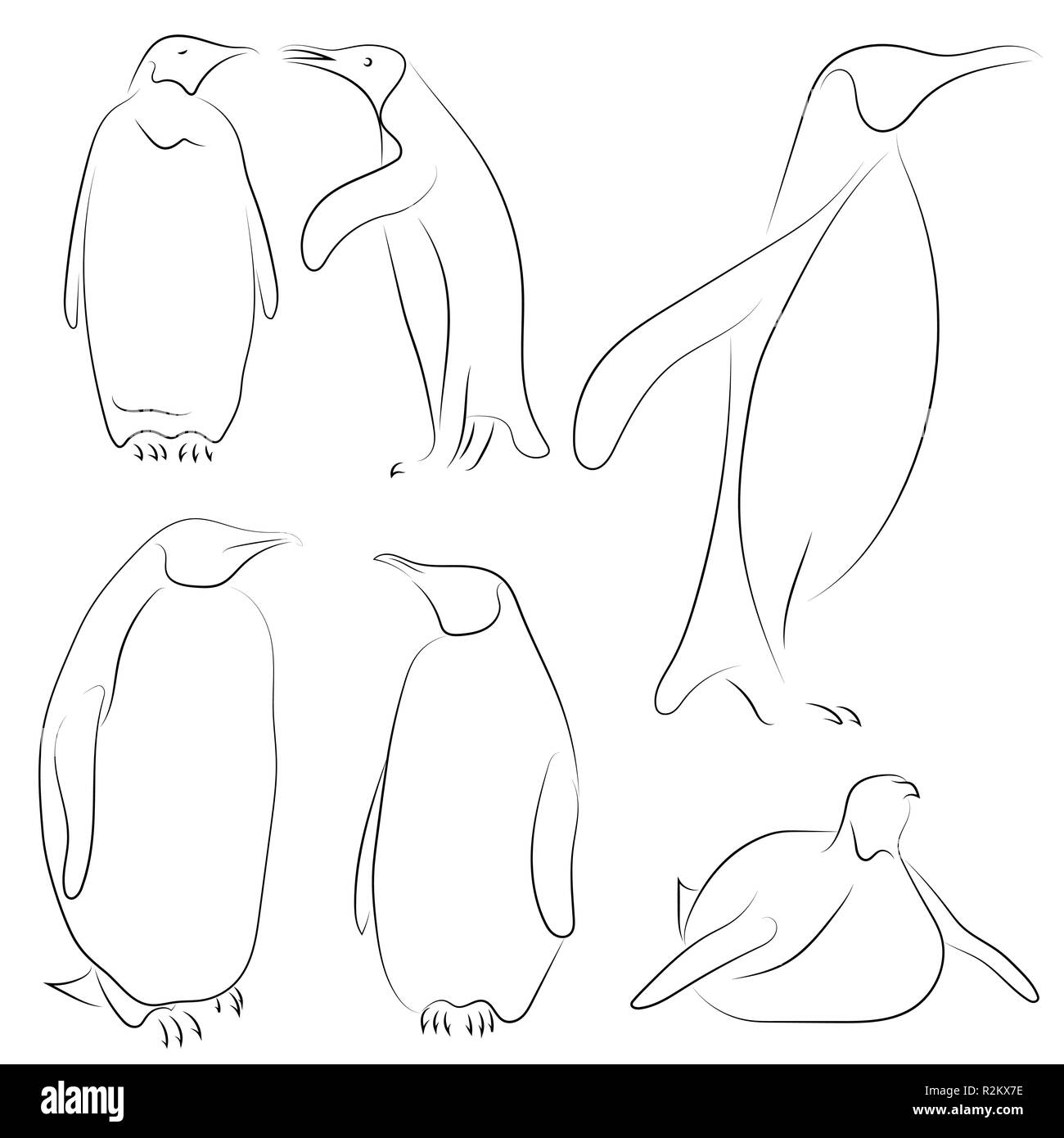 Set of black line penguins on white background. Sketch style Vector ...
