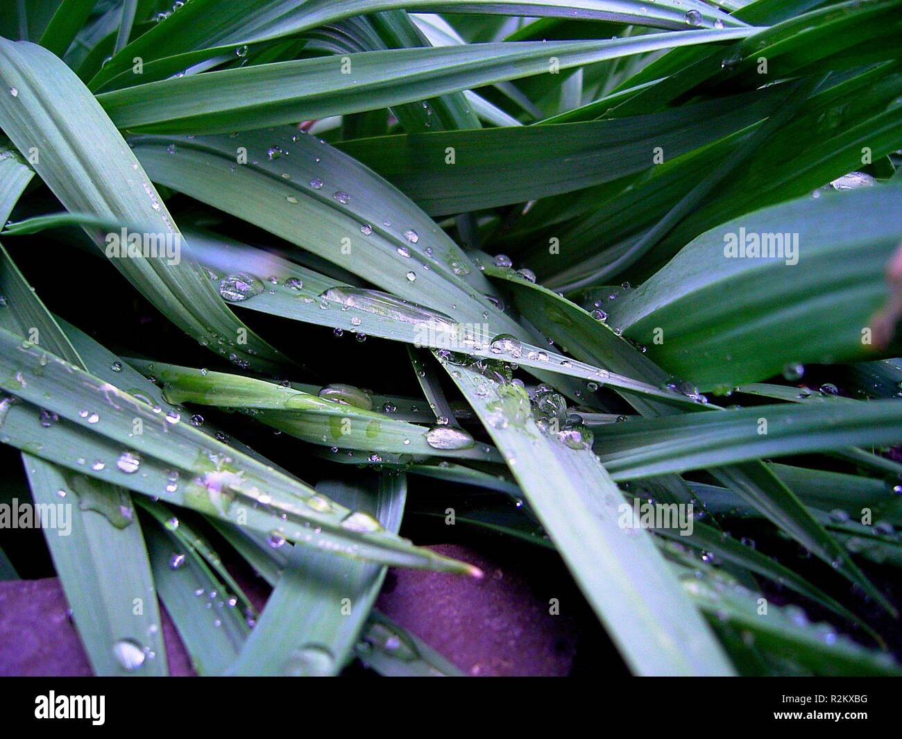 Half past seven hi-res stock photography and images - Alamy