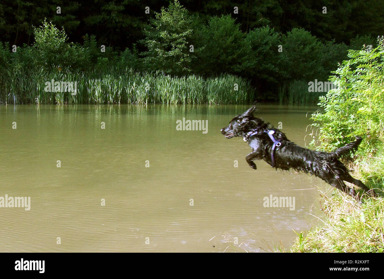 willys jump 1 Stock Photo - Alamy