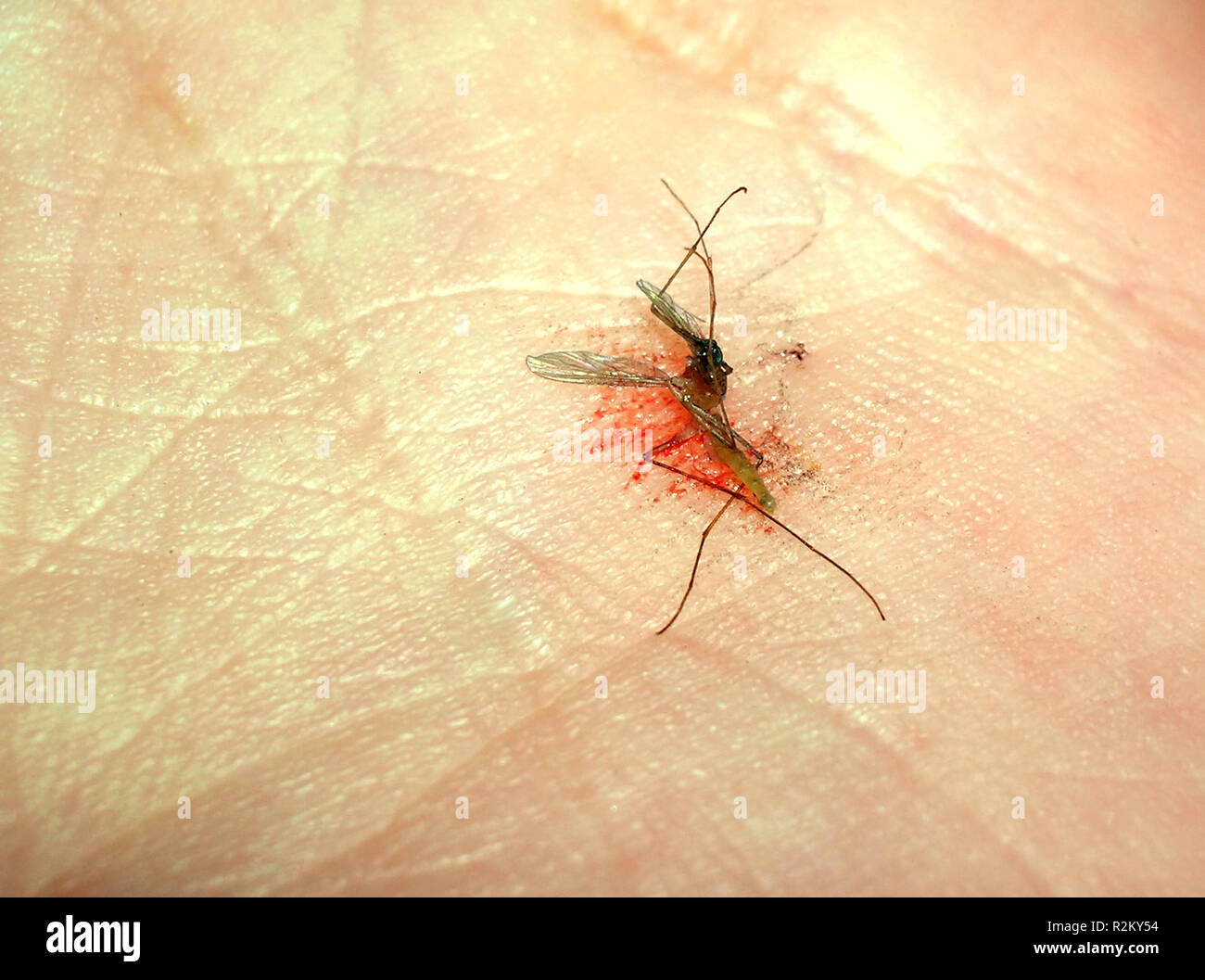 The last sleep hi-res stock photography and images - Alamy