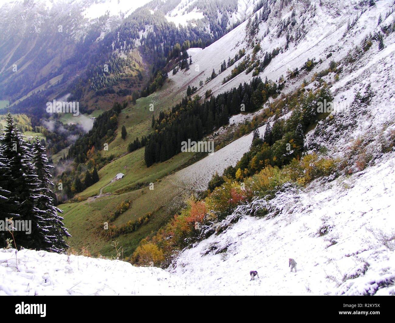 fall and winter Stock Photo - Alamy