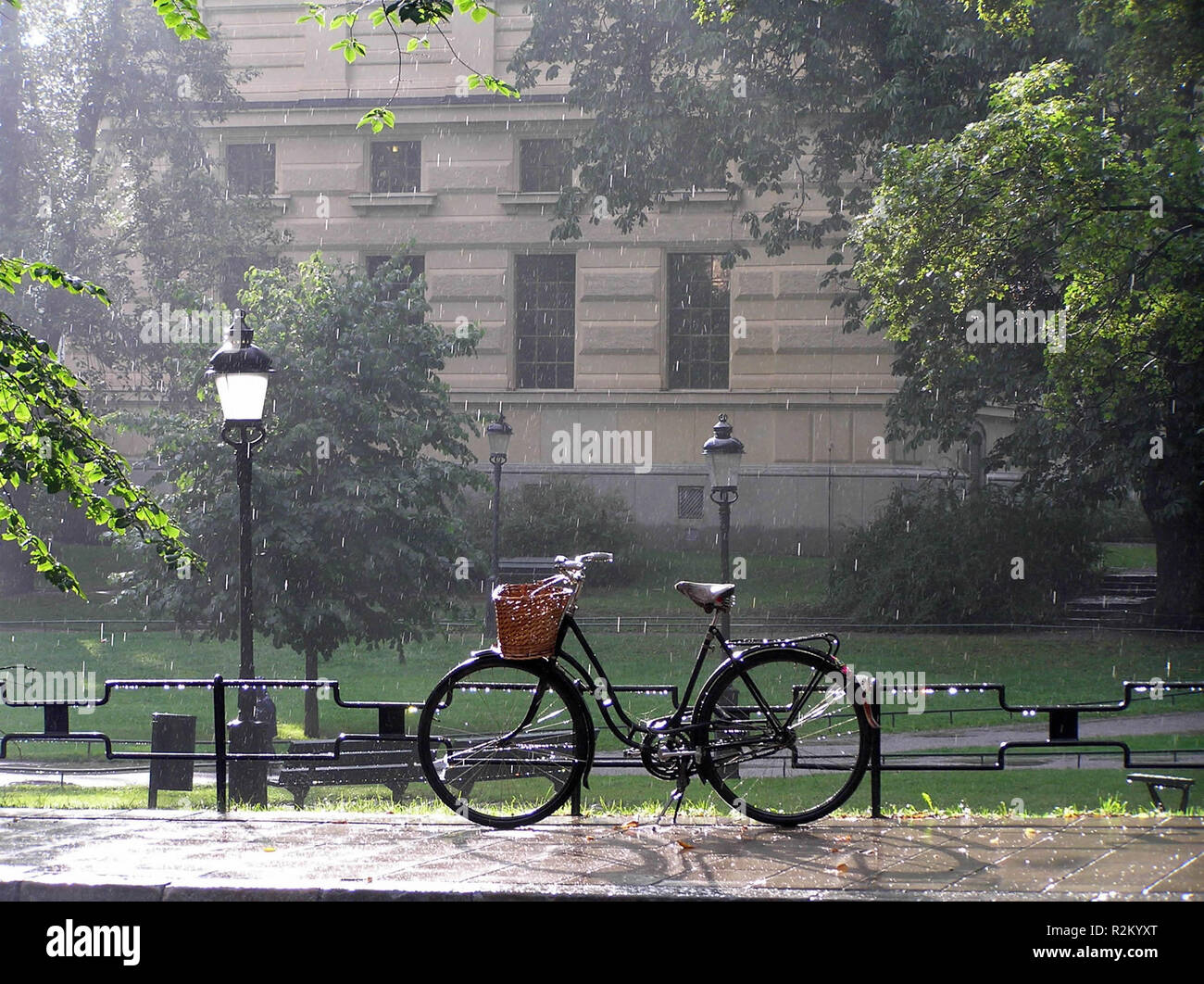 summer rain in sweden Stock Photo - Alamy