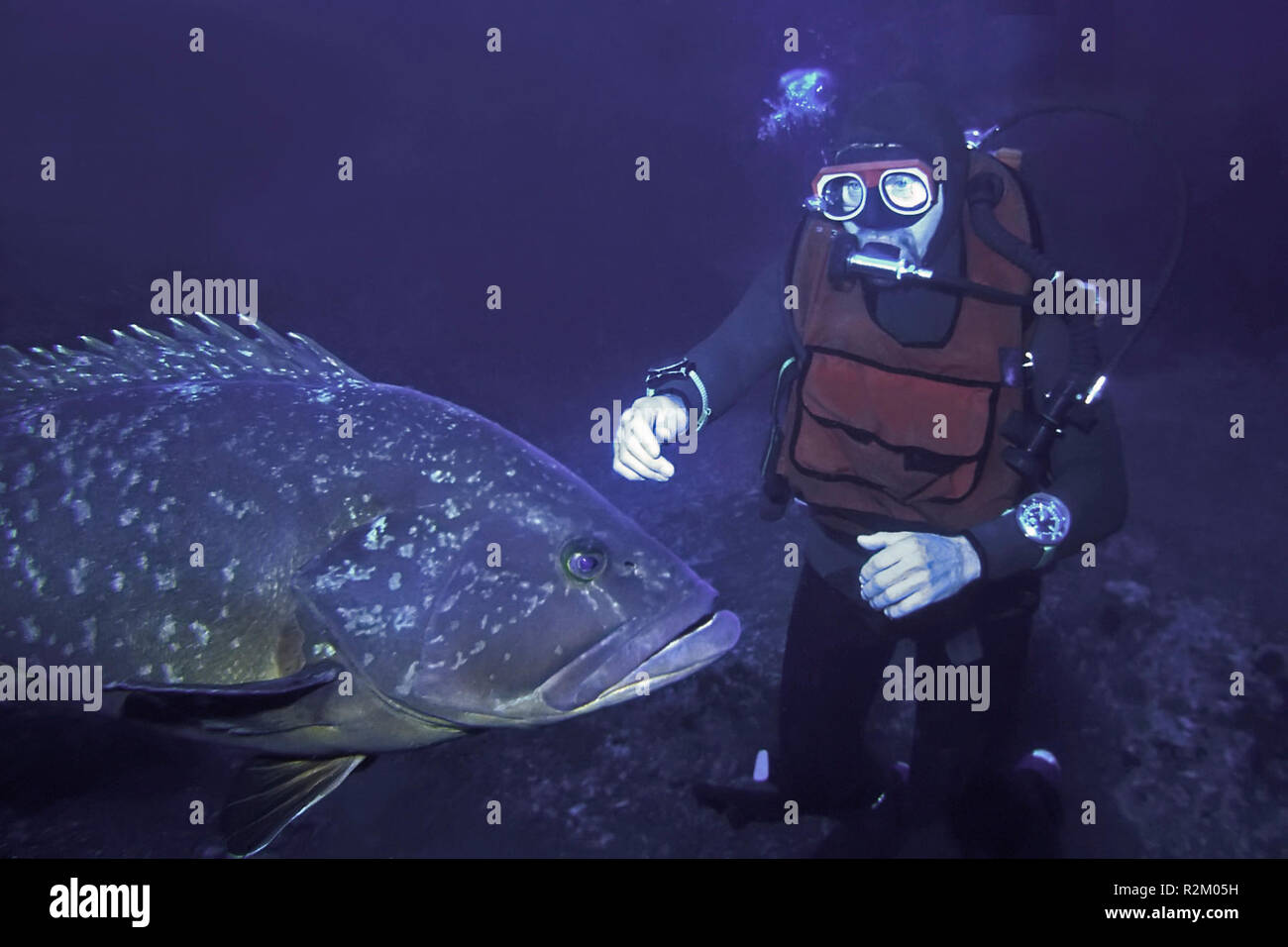 encounter Stock Photo - Alamy encounter Stock Photo - Alamy