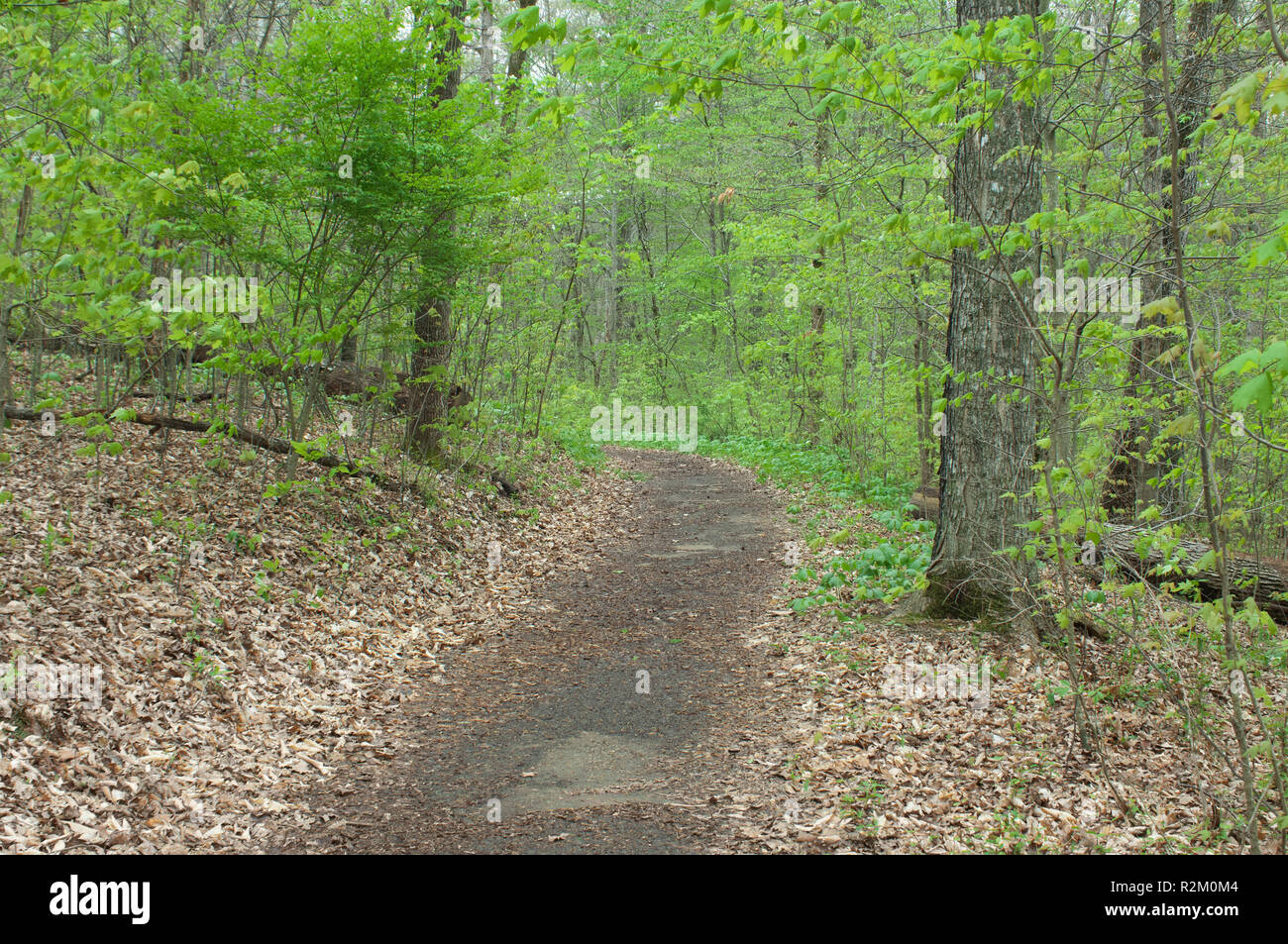 Wilderness road historic kentucky hi-res stock photography and images ...