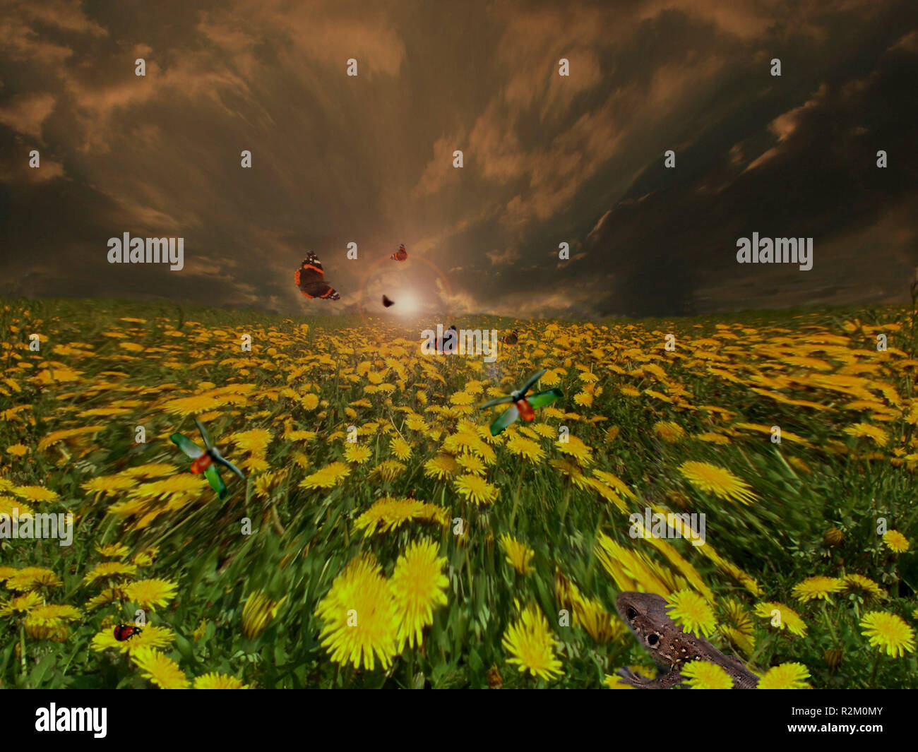 spring feelings - hovering over meadows2 Stock Photo - Alamy