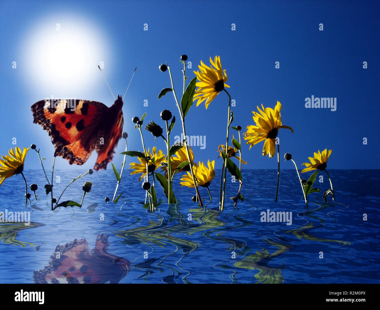 fantasy without bubbles Stock Photo - Alamy