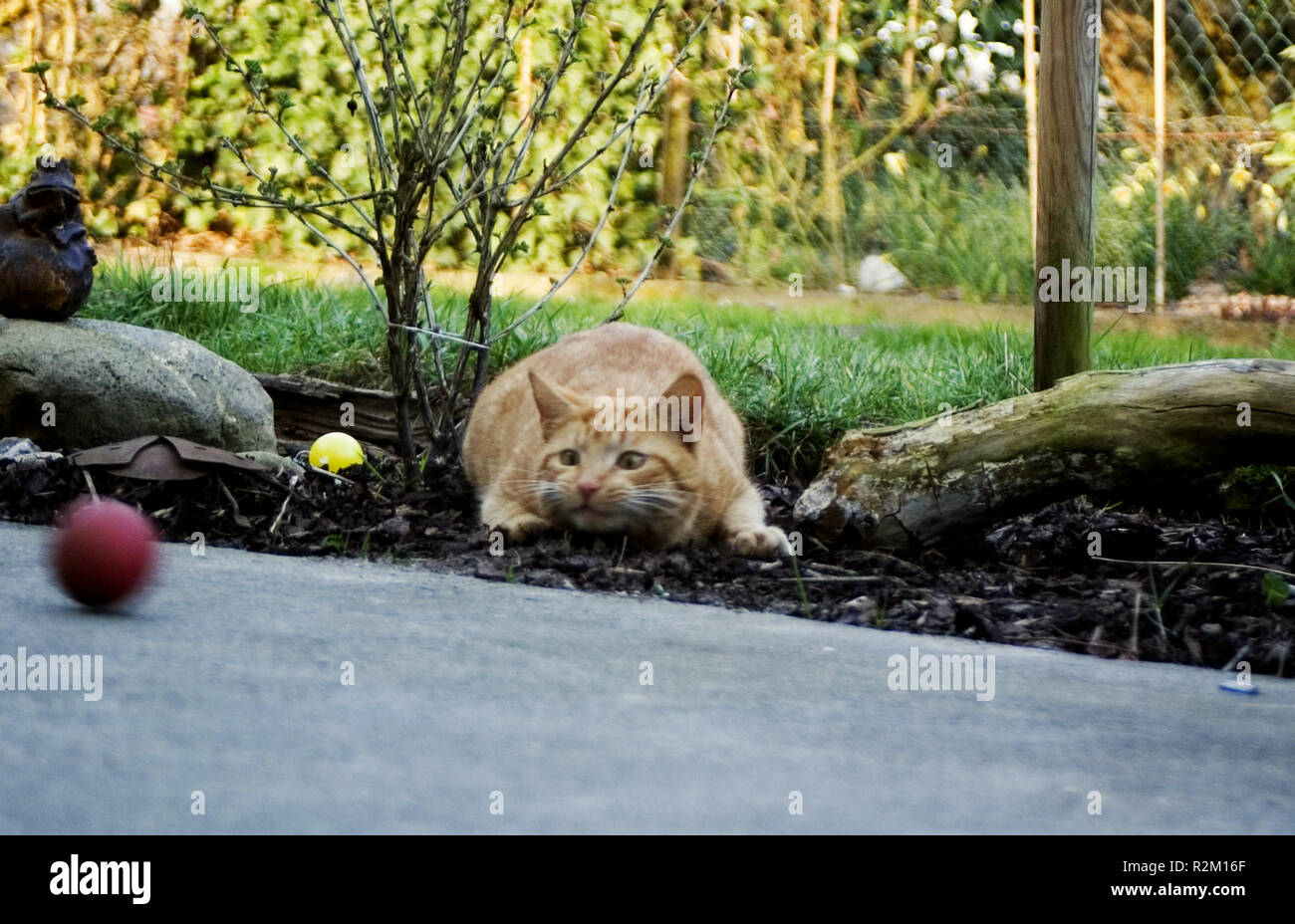 Whoosh hi-res stock photography and images - Alamy