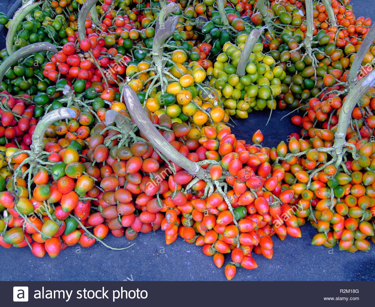 Pupunha High Resolution Stock Photography and Images - Alamy