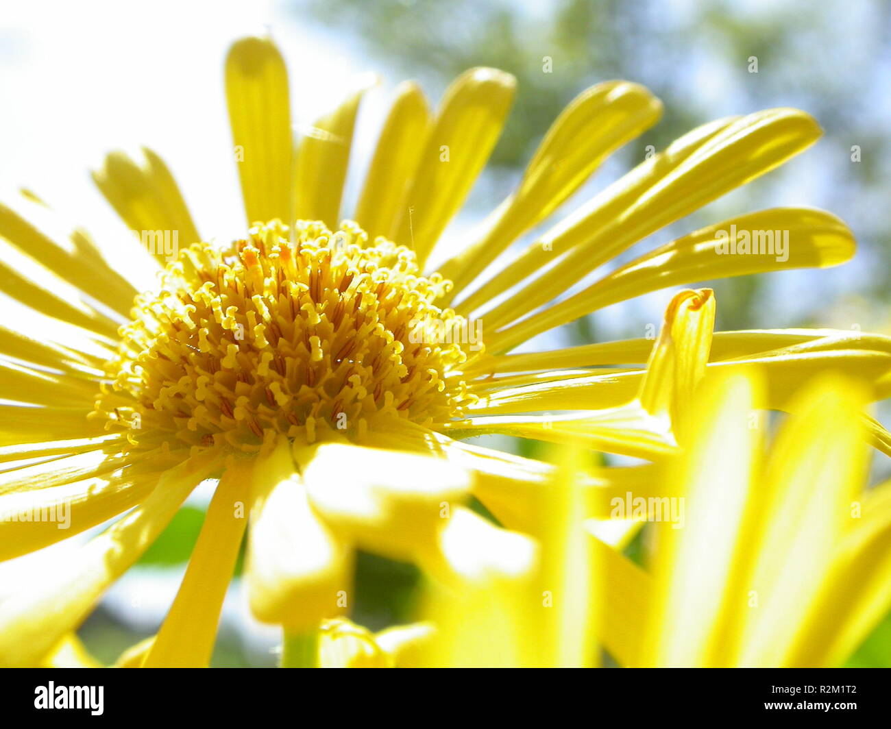 Summer desktop wallpapers hi-res stock photography and images - Alamy