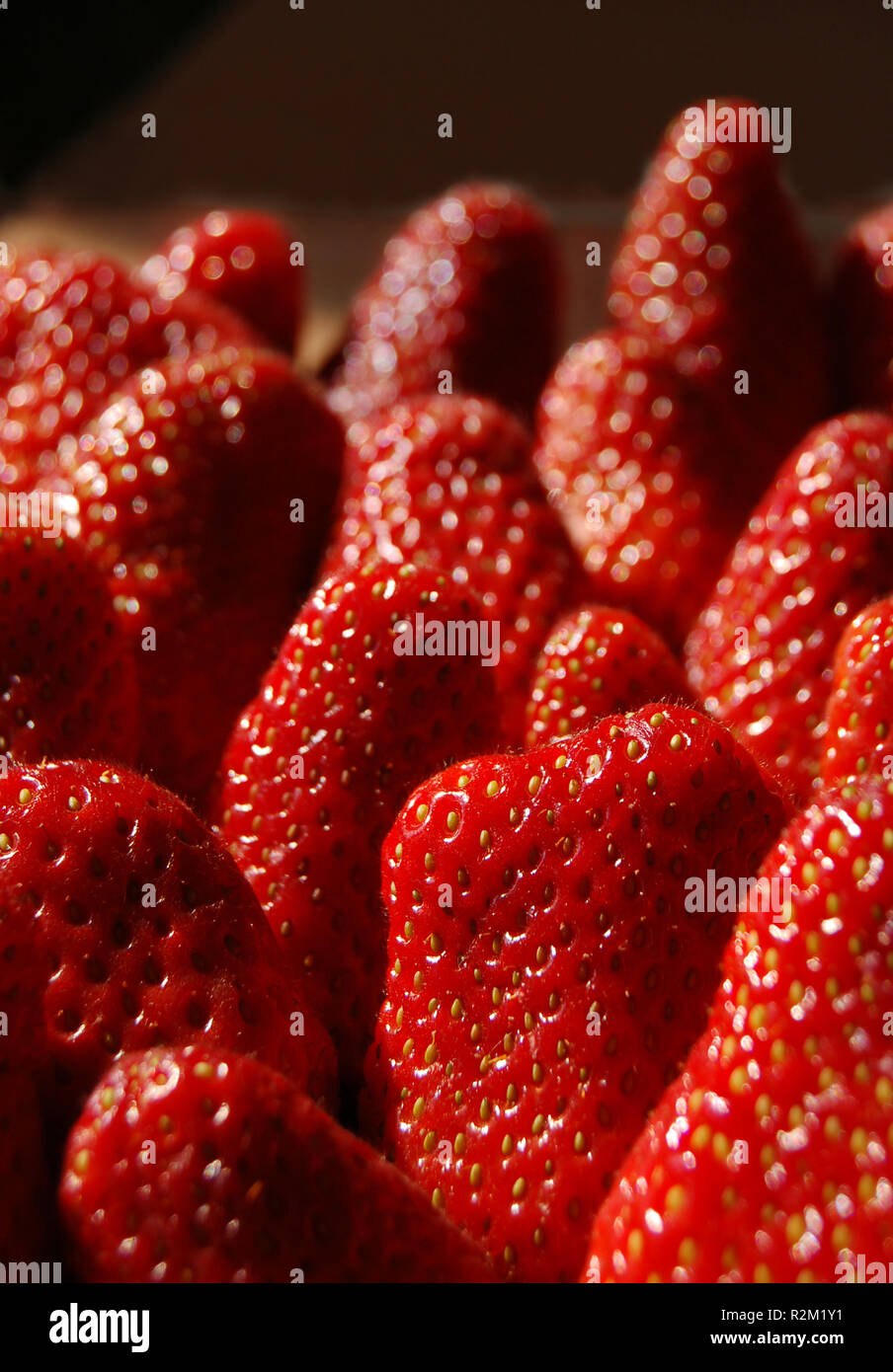 Strawberry army hi-res stock photography and images - Alamy