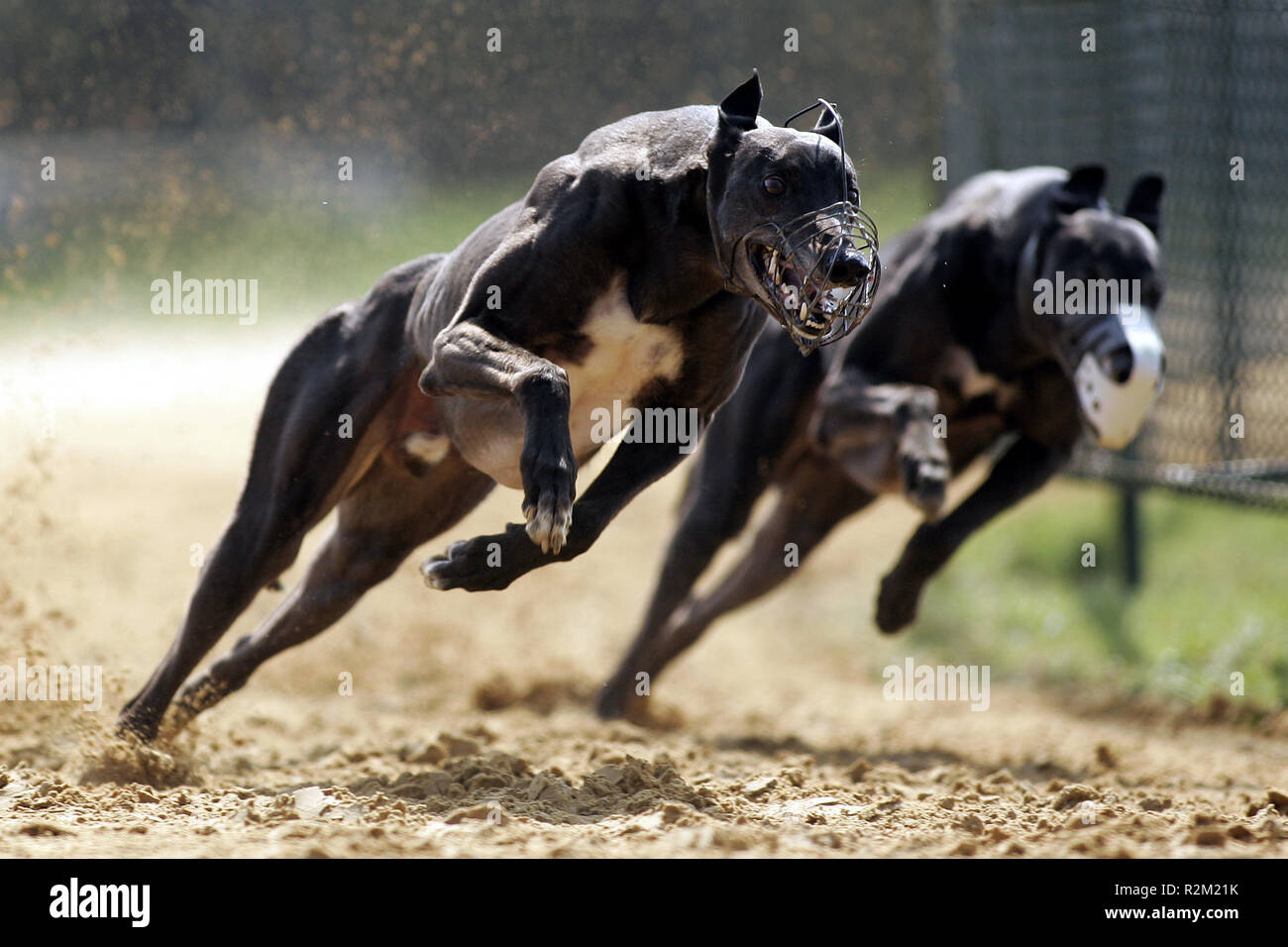 Double pack hi-res stock photography and images - Alamy