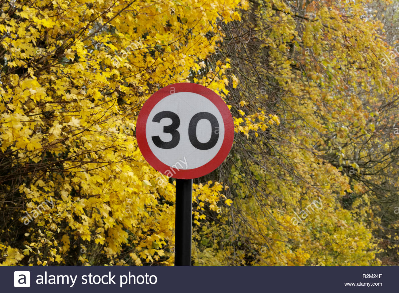 30 Miles Per Hour Speed Sign Stock Photos & 30 Miles Per Hour Speed ...