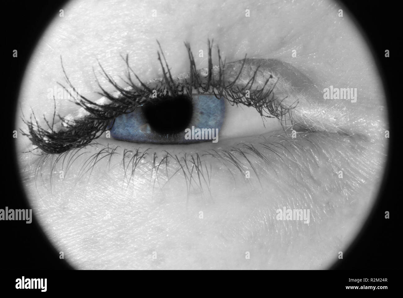 Keyhole eye High Resolution Stock Photography and Images - Alamy