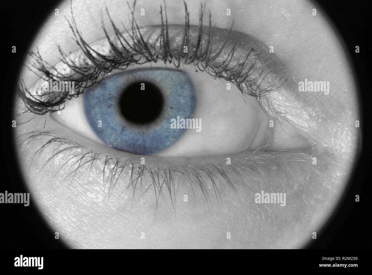 Keyhole eye High Resolution Stock Photography and Images - Alamy