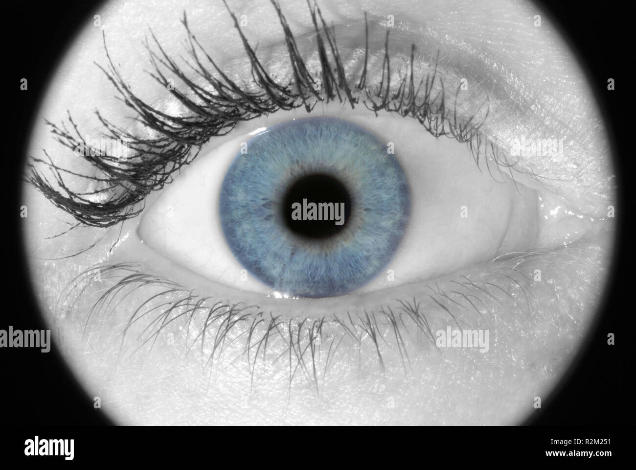 Keyhole eye High Resolution Stock Photography and Images - Alamy