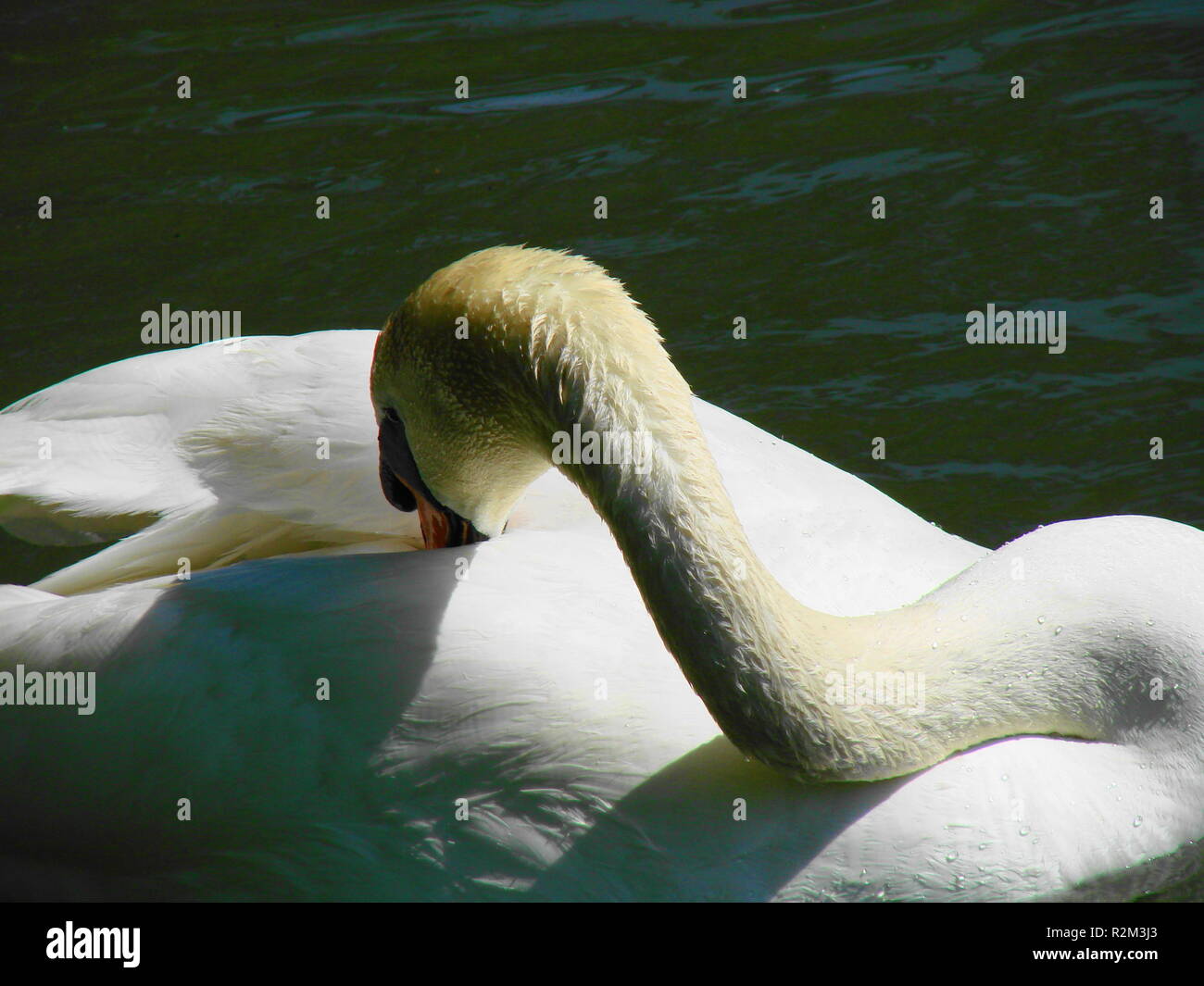 Laundry by pond hi-res stock photography and images - Alamy